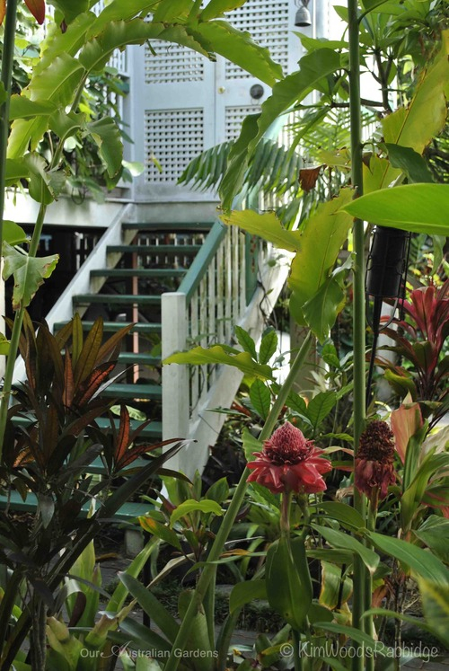 Nafanua: A Little Paradise in the Suburbs – Our Australian Gardens