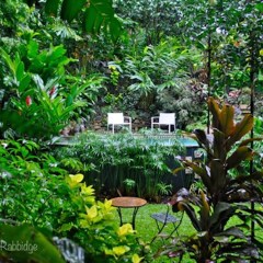 Tabu – 13 – Our Australian Gardens