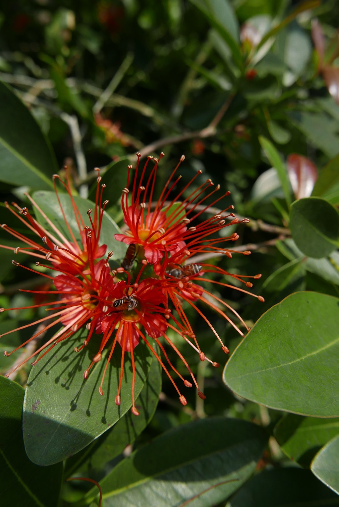 Jim Fogarty-Andy Sturgess 5 Singapore ©Kim Woods Rabbidge – Our ...